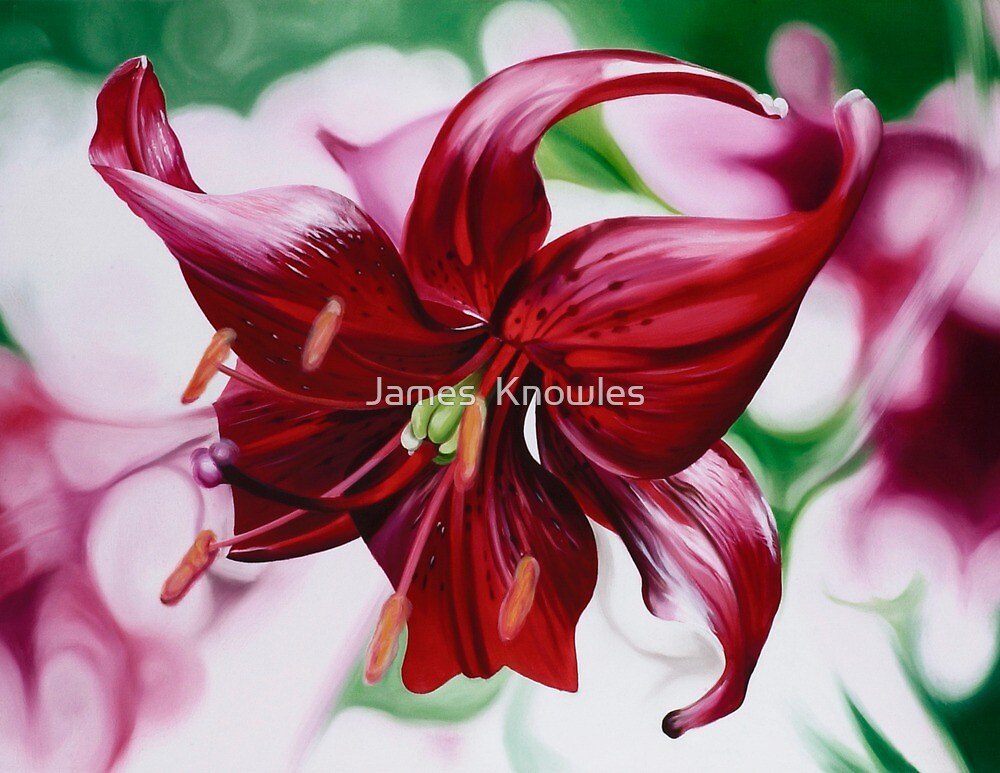 ""Dancing Lily" - expressive deep red lily" by James Knowles | Redbubble