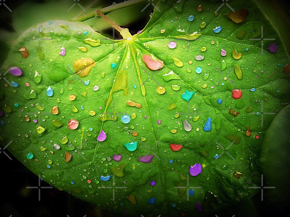 "Colorful Rain" by FrankieCat | Redbubble