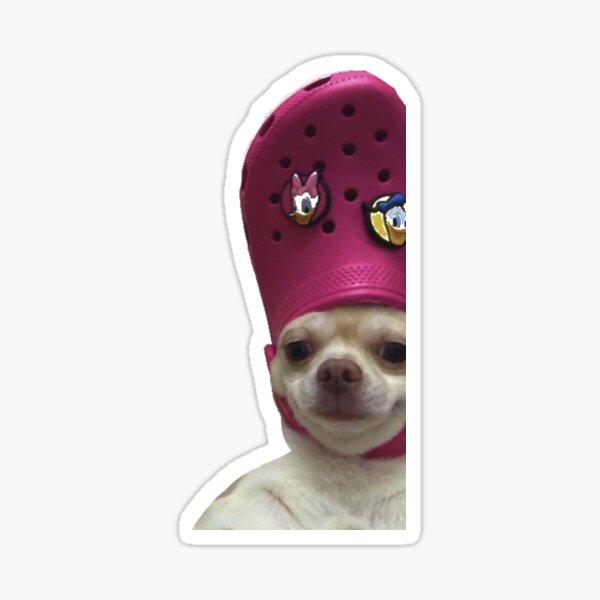 "Chihuahua " Sticker by urmommorgan | Redbubble