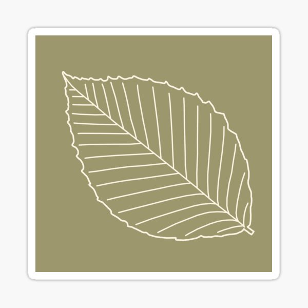 "Beech Leaf" Sticker for Sale by Scatthecat | Redbubble