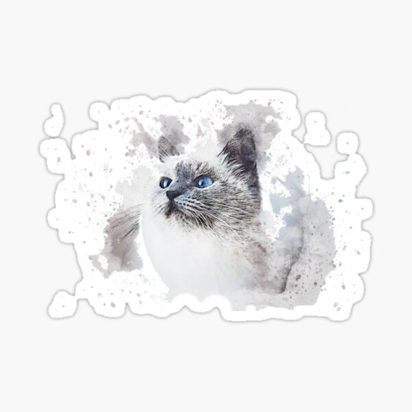 "Curious Cat 2" Sticker for Sale by DJBJ | Redbubble