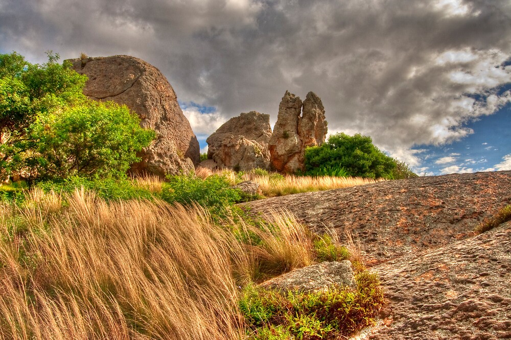 "Terrick Terrick National Park, Victoria, Australia" by John Bullen ...