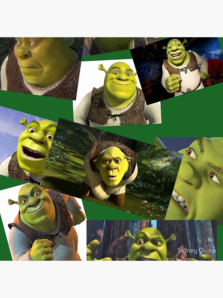 "Shrek Collage" Coasters (Set of 4) by sidneyquam | Redbubble