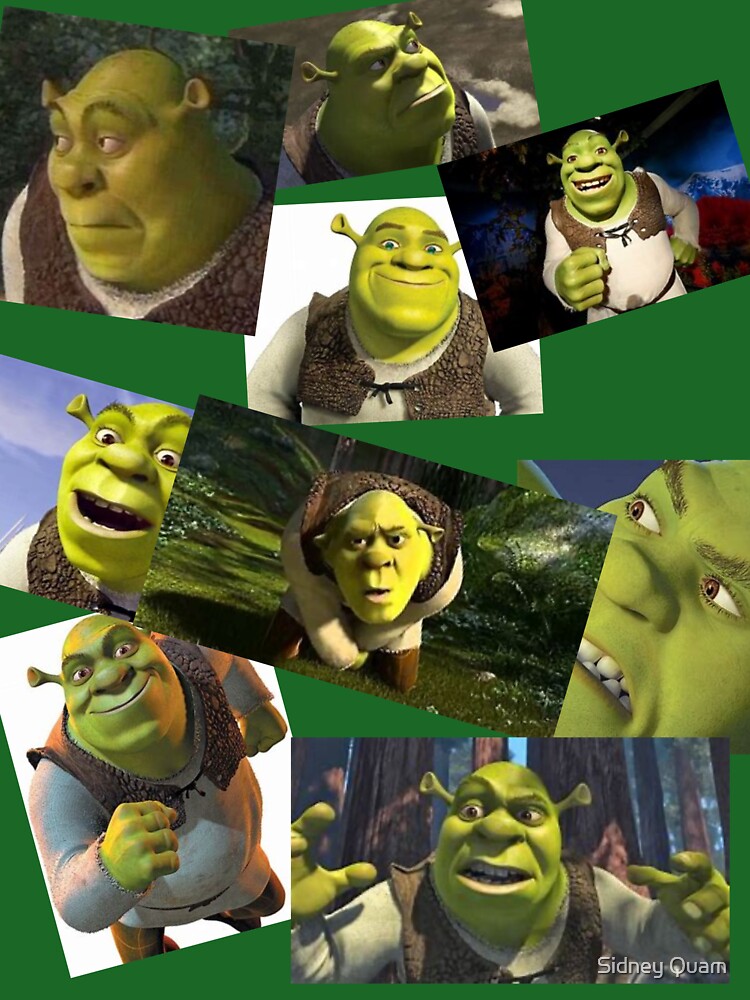 "Shrek Collage" Sticker for Sale by sidneyquam | Redbubble