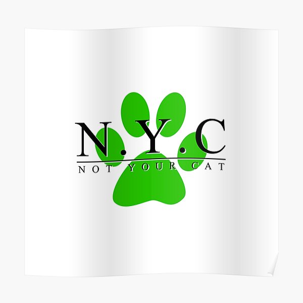 Miraculous Ladybug Posters | Redbubble