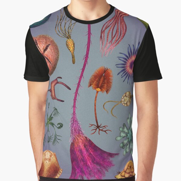 "Echinoderms Plate" T-shirt for Sale by franzanth | Redbubble | urchin graphic t-shirts - star ...