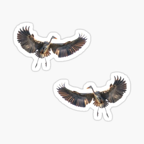 Great Wide Open Stickers | Redbubble
