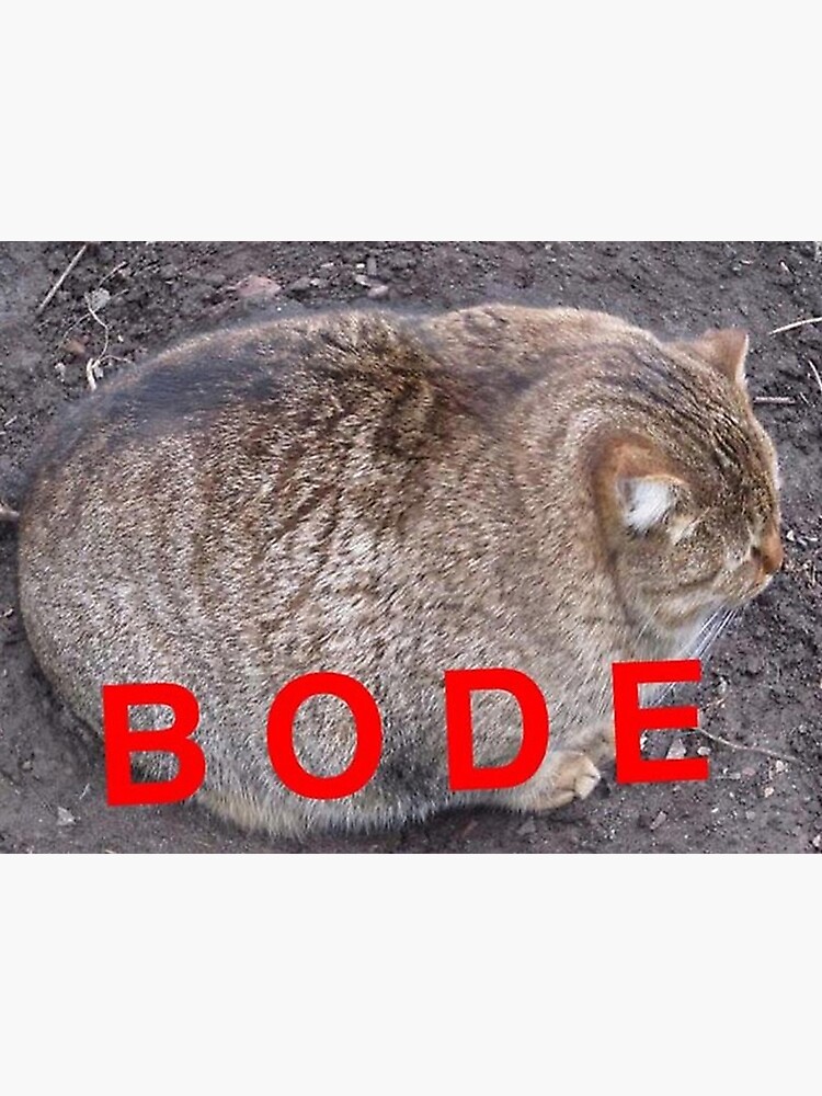 "BODE Meme - " Poster by hhge | Redbubble