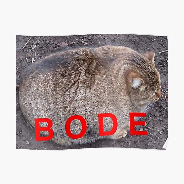 "BODE Meme - " Poster by hhge | Redbubble