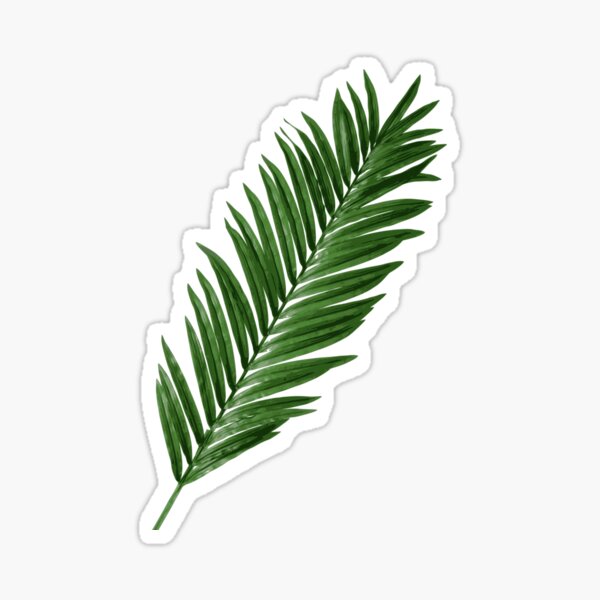 "palm leaf" Sticker for Sale by Design-Rahel | Redbubble