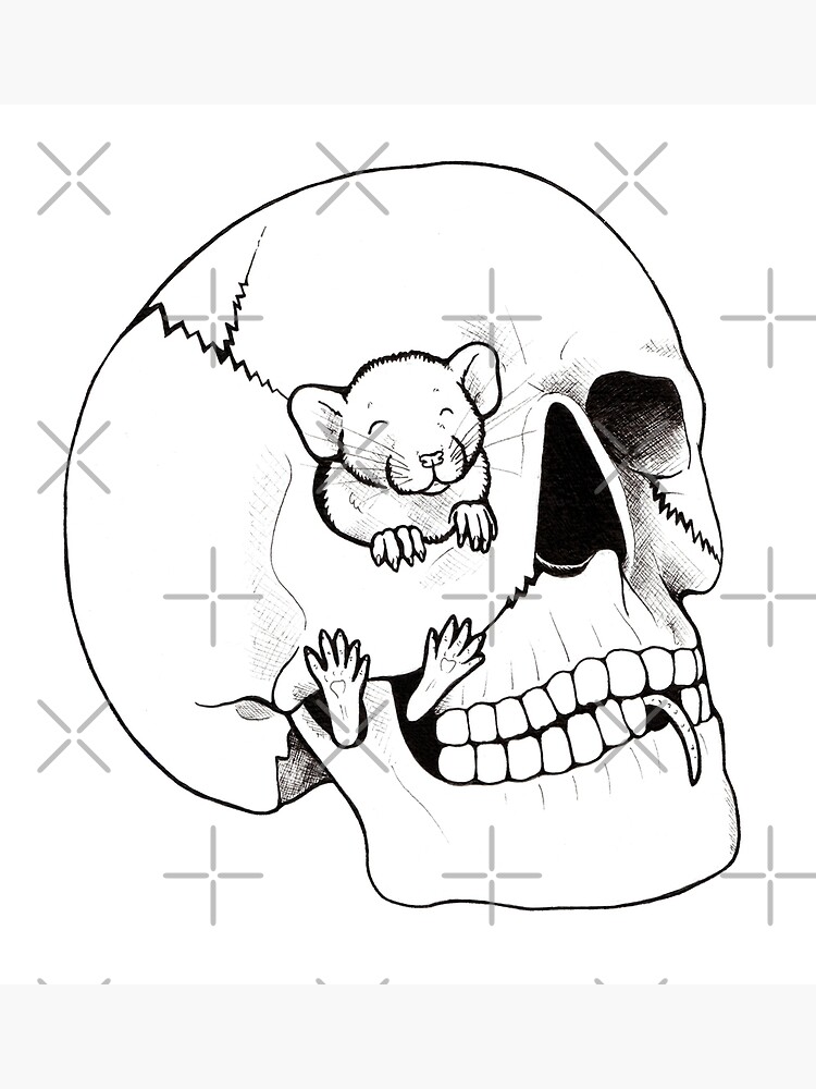 "Skull rat (lineart)" Art Print by animalartbyjess | Redbubble