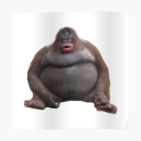 "le monke uh oh stinky" Poster for Sale by trendybubble | Redbubble