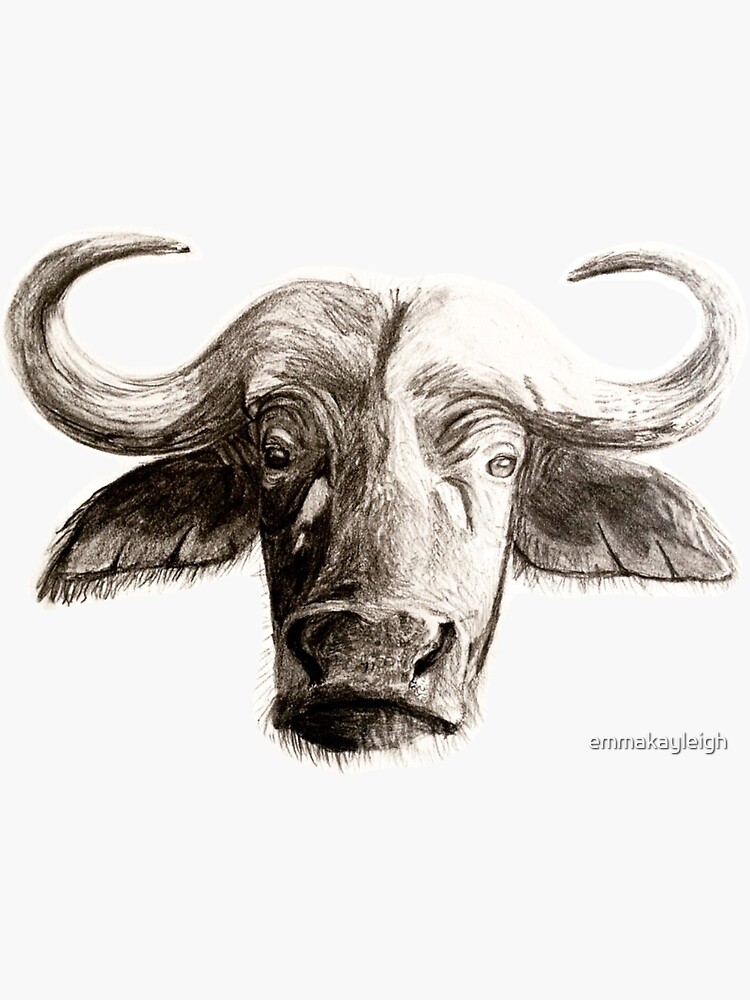 "water buffalo" Sticker by emmakayleigh | Redbubble