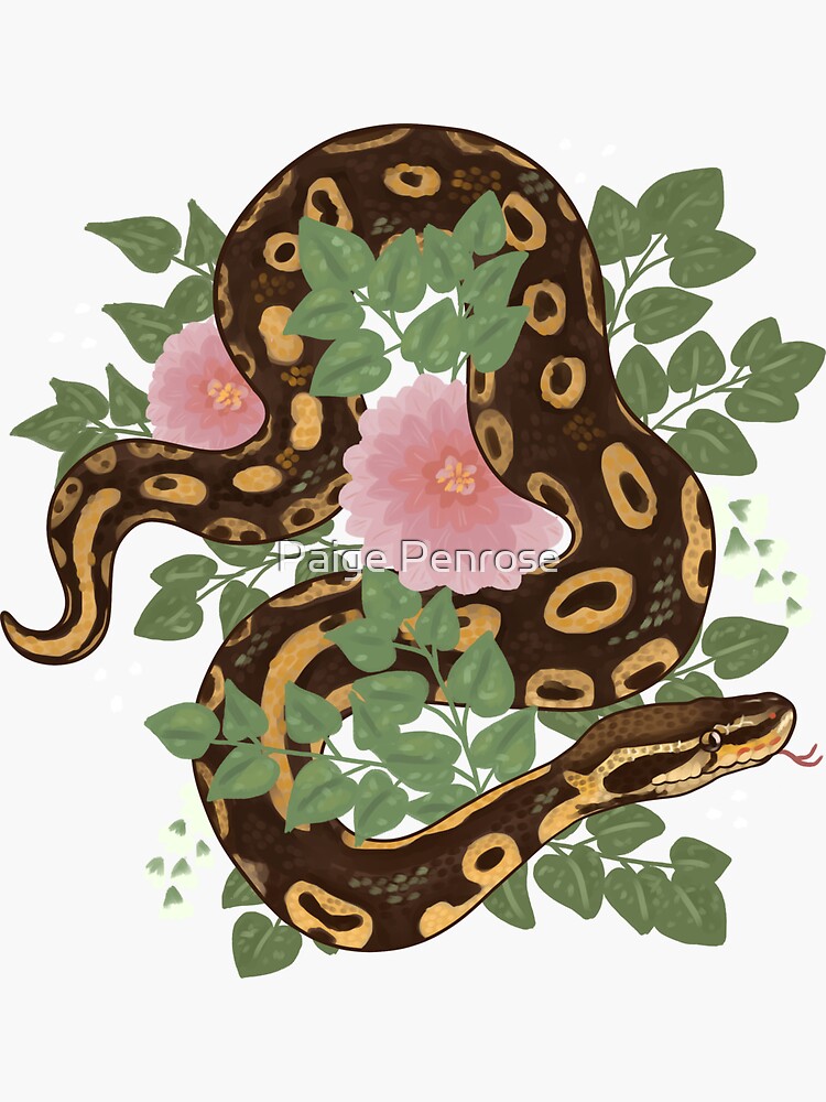 "Kit the Ball Python" Sticker for Sale by starrypaige | Redbubble