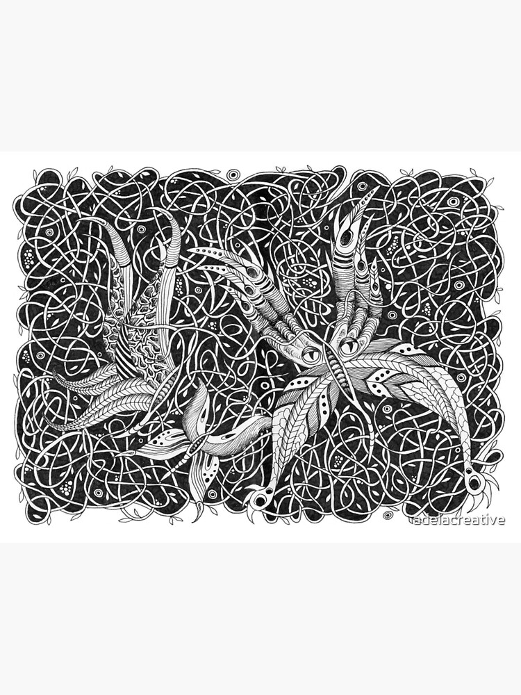 "Entangled black and white illustration" Poster by adelacreative ...