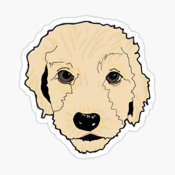 "Golden Doodle no background Sticker" Sticker for Sale by Yellowdaisi ...