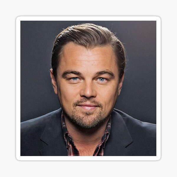 "Leonardo DiCaprio " Sticker for Sale by fssw | Redbubble