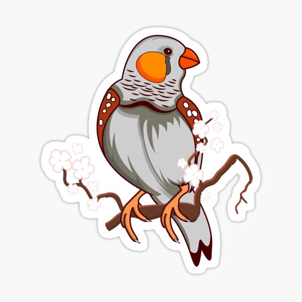 Zebra Finch Stickers | Redbubble