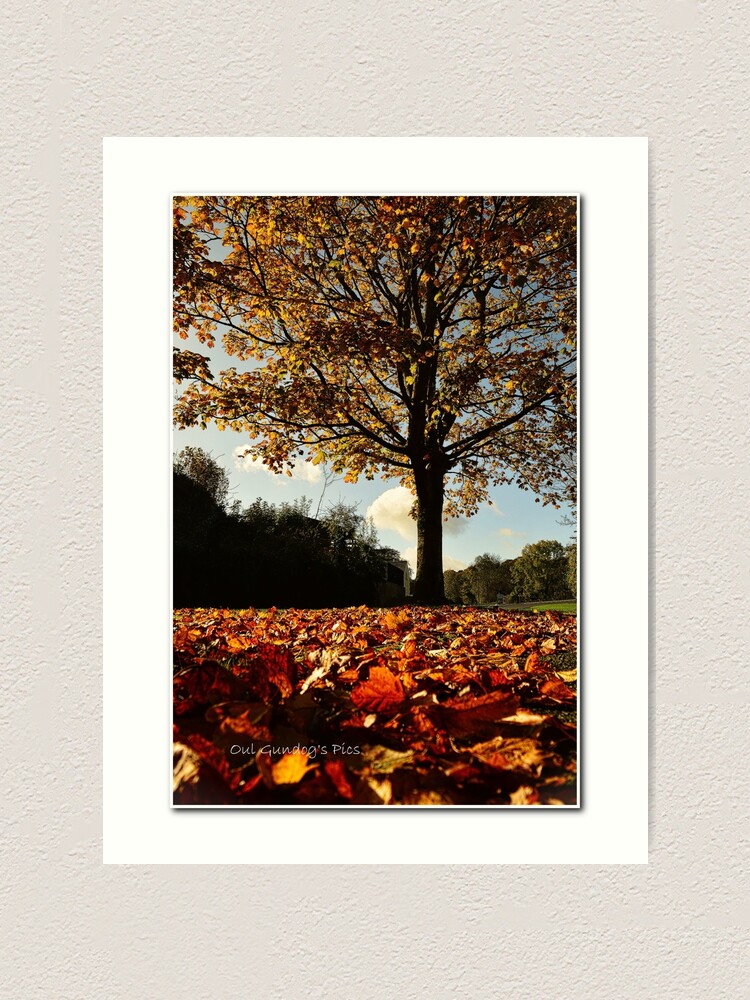 "Rustle And Rust" Art Print for Sale by gundogpic | Redbubble