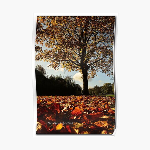 "Rustle And Rust" Poster for Sale by gundogpic | Redbubble