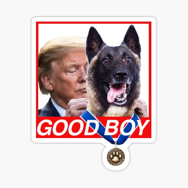 "Delta Force Hero Dog (Good Boy)" Sticker by ColorBars | Redbubble
