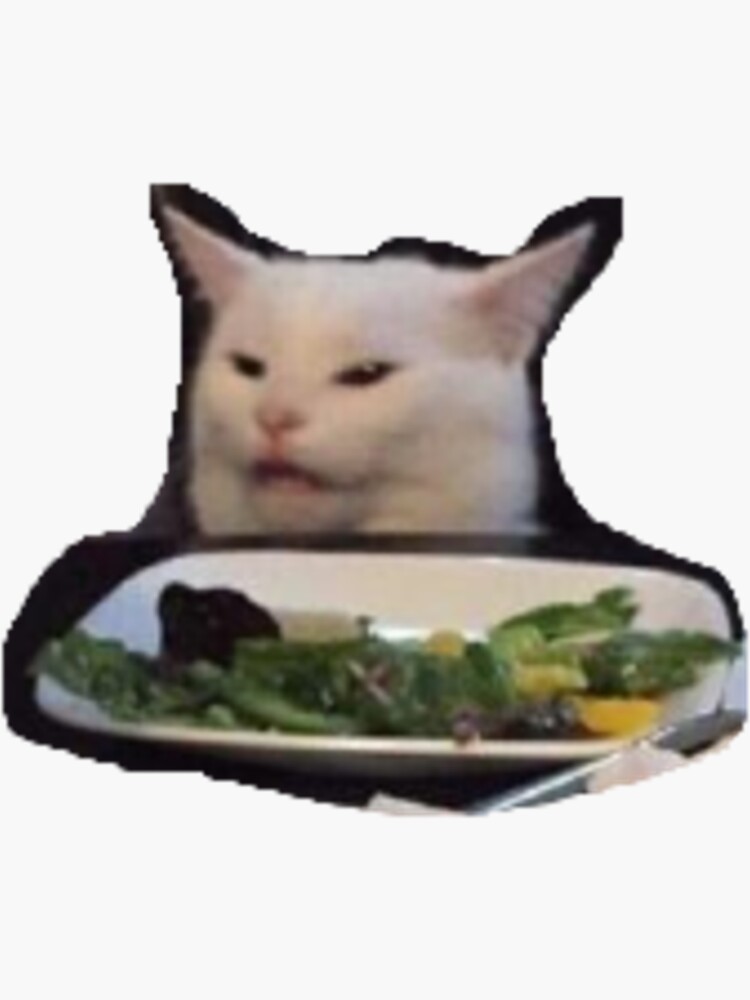 "Shook Cat" Sticker for Sale by kmhall1198 | Redbubble