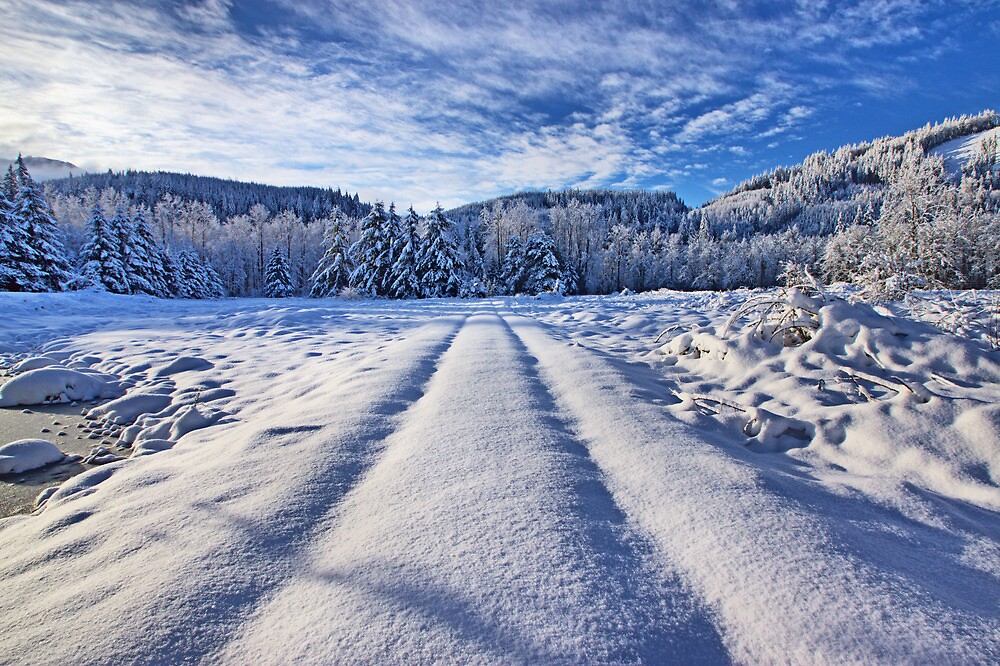"February Snow" by Mike Kinney | Redbubble