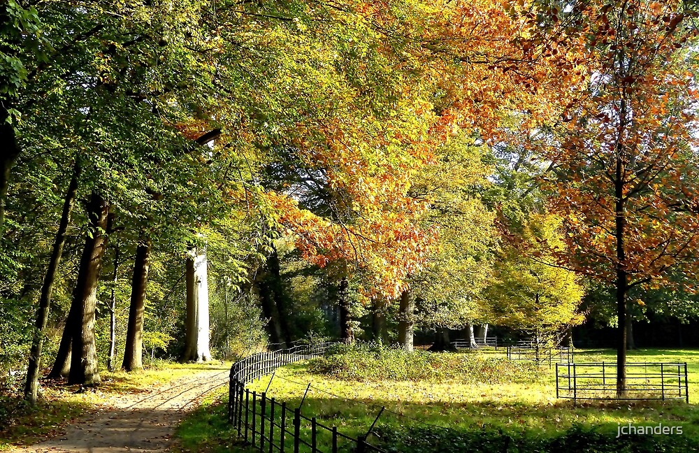 "Enjoying the October sunshine for the last time" by jchanders | Redbubble
