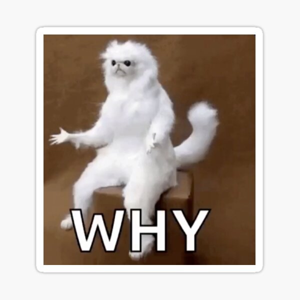 "WHY meme" Sticker for Sale by debracornell97 | Redbubble