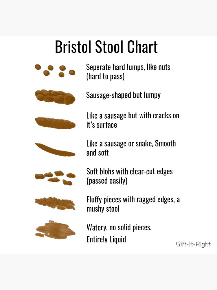 "Bristol Stool Chart" Sticker for Sale by Gift-It-Right | Redbubble