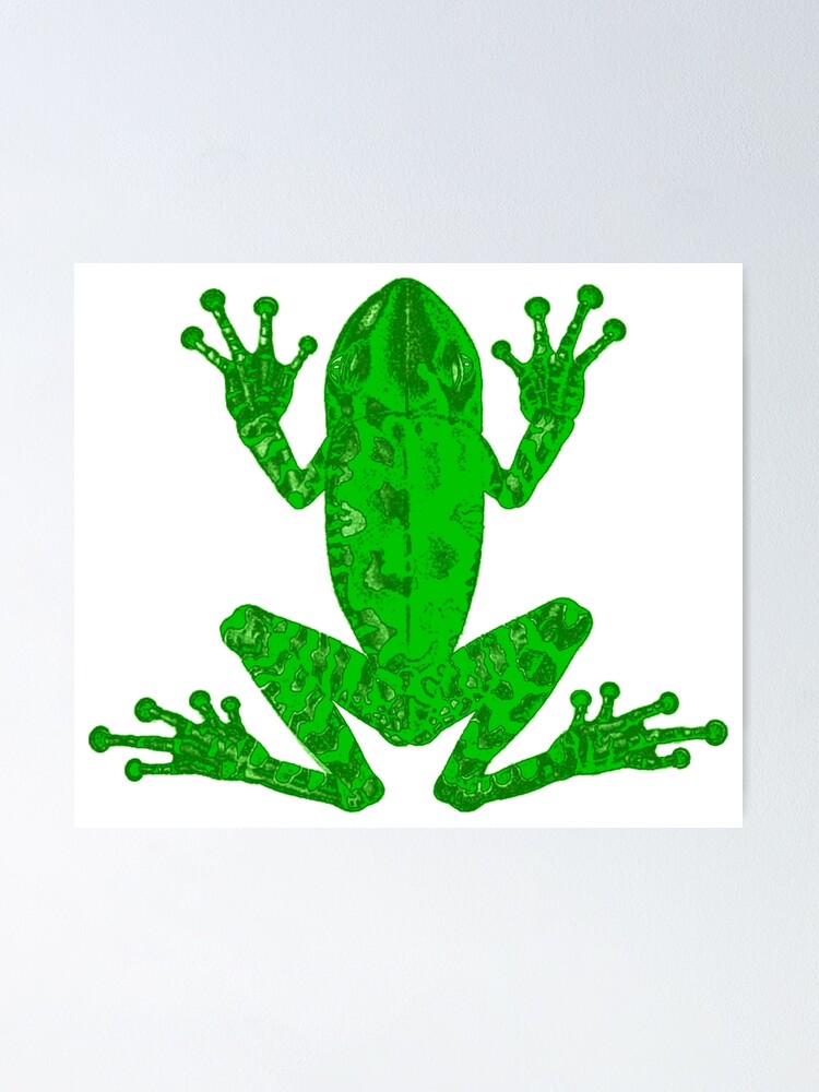 "Green Tree Frog " Poster for Sale by MarisaMikayla | Redbubble