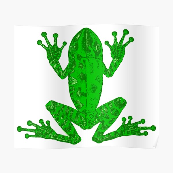 "Green Tree Frog " Poster for Sale by MarisaMikayla | Redbubble