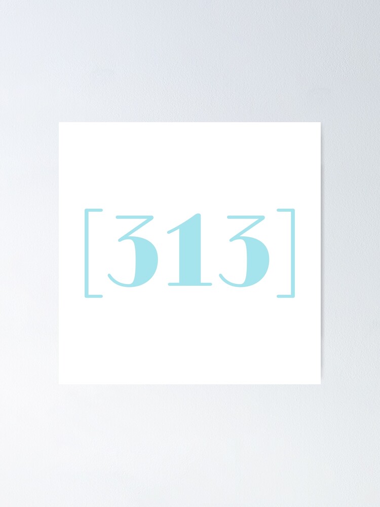 "313 detroit area code" Poster by brookenich05 | Redbubble
