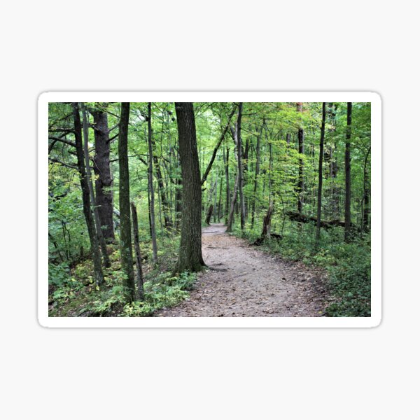 "Path in Devil's Lake State Park" Sticker by marthahs | Redbubble
