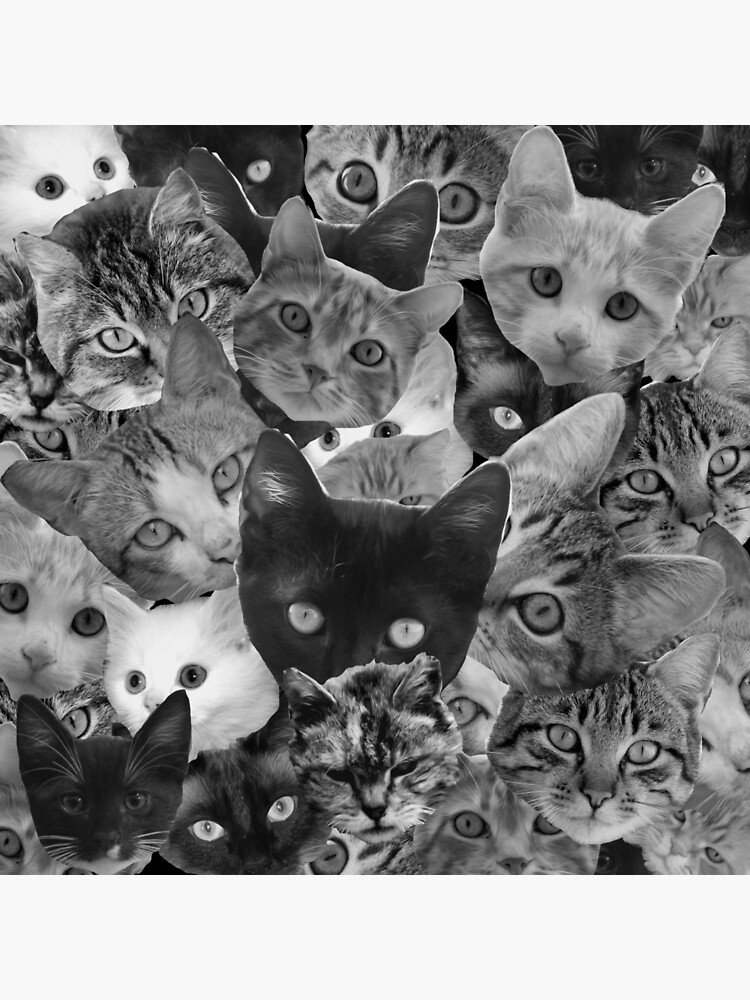 "BW Cat Collage" Poster for Sale by spookydooky | Redbubble