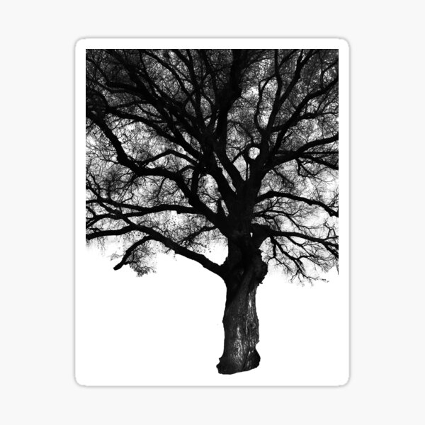 Cochise Merch & Gifts for Sale | Redbubble