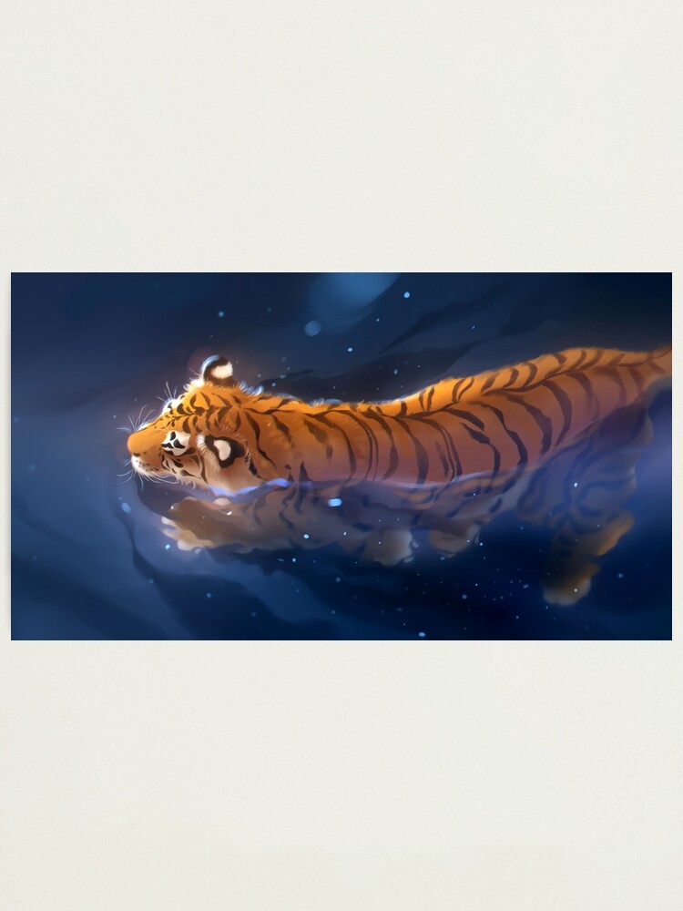 "Star bound" Photographic Print for Sale by apofiss | Redbubble