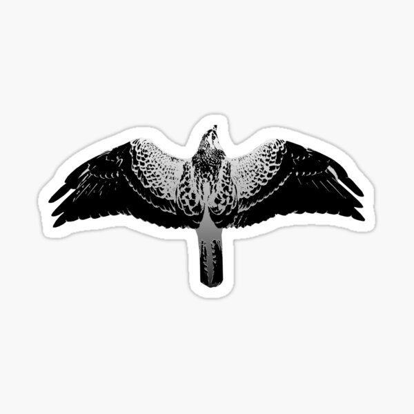 "Hawk" Sticker for Sale by FotoJarmo | Redbubble