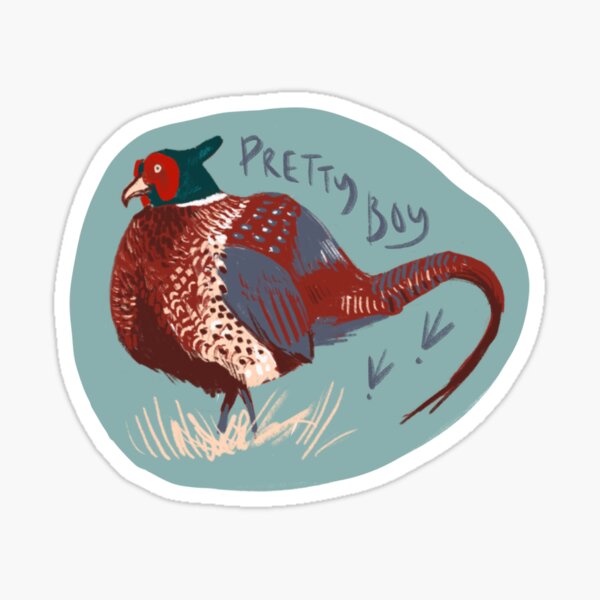 "Pretty Boy pheasants" Sticker for Sale by katiewhittle | Redbubble