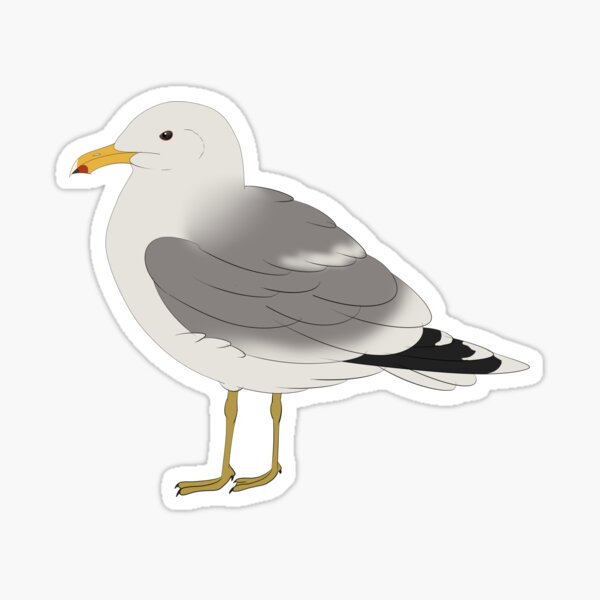 "California gull" Sticker for Sale by seagaull | Redbubble