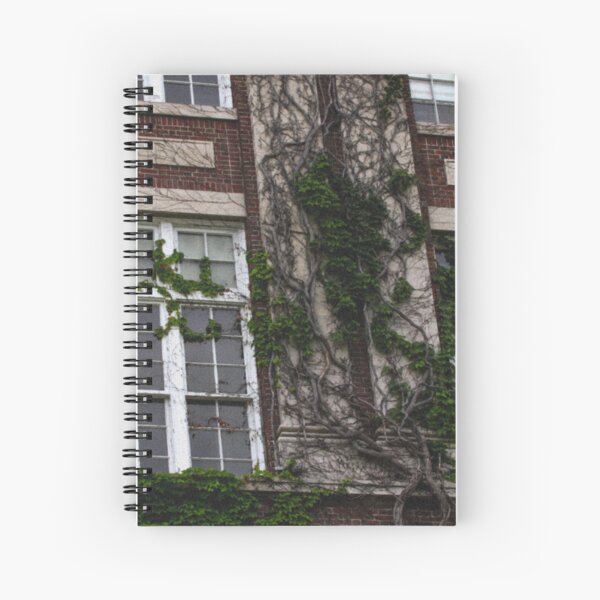 Rpi Gifts & Merchandise for Sale | Redbubble