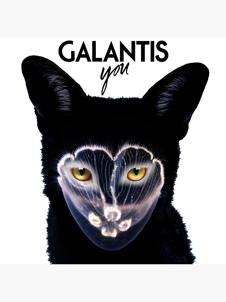 "Galantis You" Poster by brigittes3952 | Redbubble