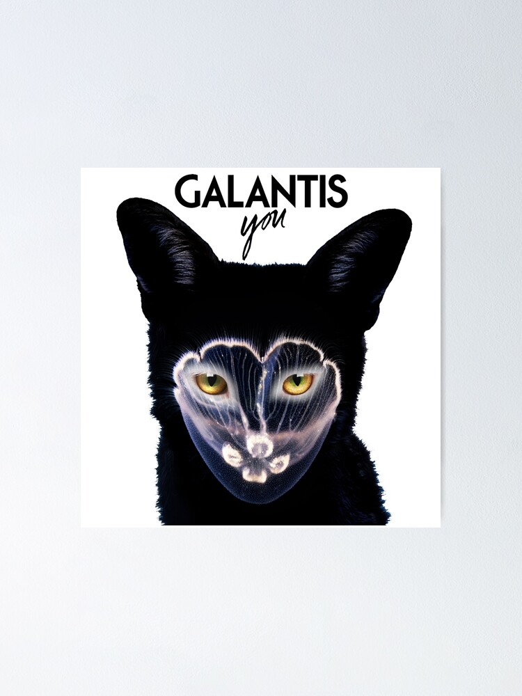 "Galantis You" Poster by brigittes3952 | Redbubble
