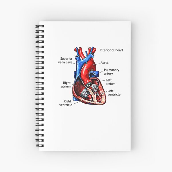 "Cardiology Med Student Heart Cardiac Diagram " Spiral Notebook by ...