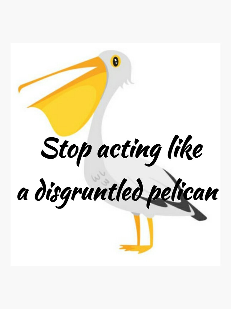 "Stop Acting Like A Disgruntled Pelican Schitt's Creek Quote" Sticker ...