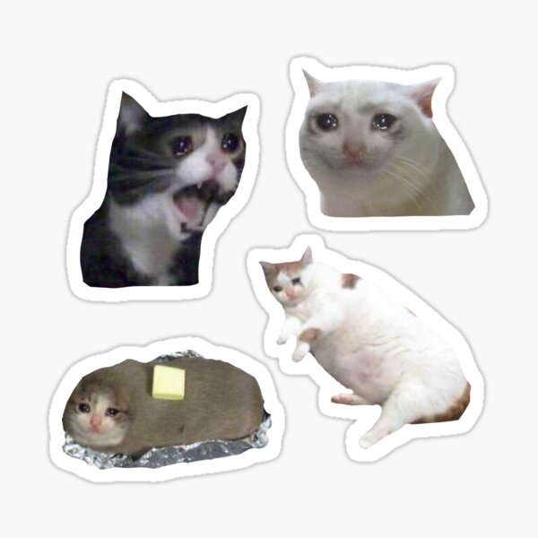 Cats Stickers | Redbubble