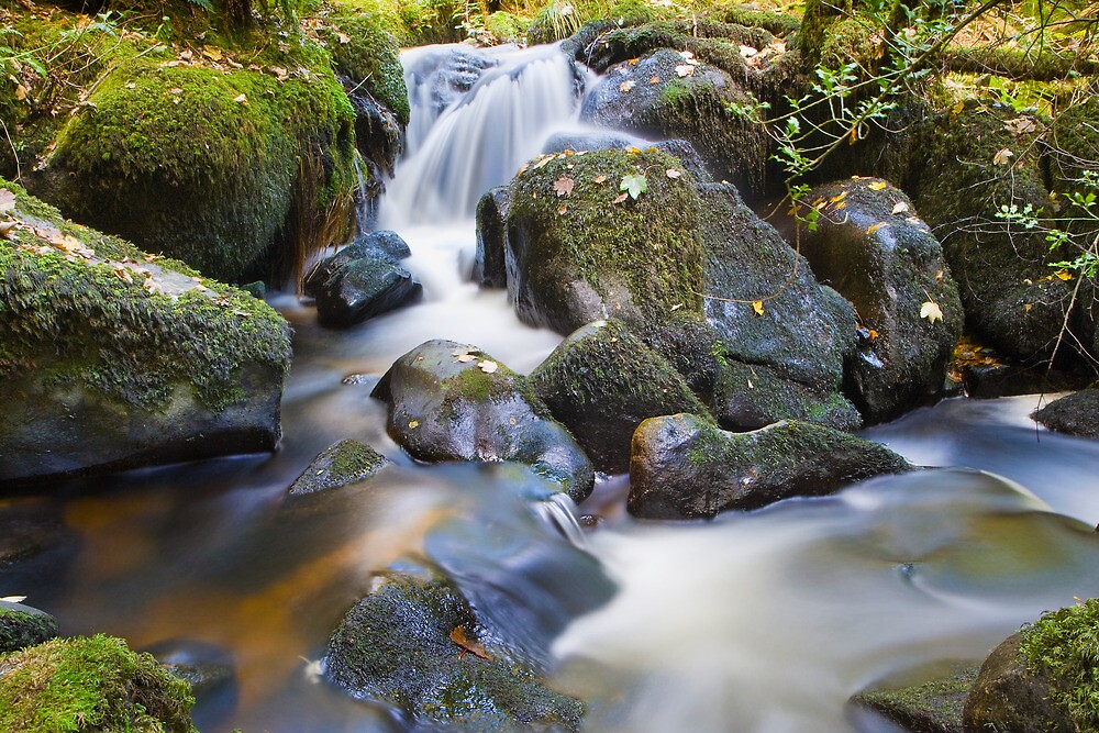 "Becky Falls Woodland Park waterfall in Dartmoor" by Gareth Spiller ...