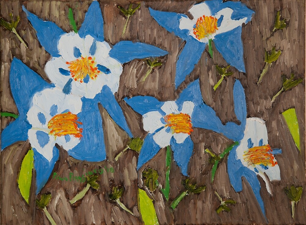 "Blue Columbines" by Pamela Ruggiero | Redbubble
