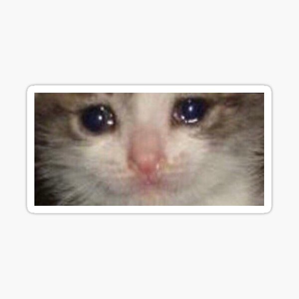 "Sad Cat Meme" Sticker by ellielbarnett | Redbubble