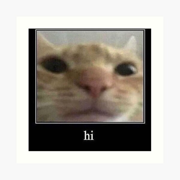 "Hi Cat Meme" Art Print by Goath | Redbubble